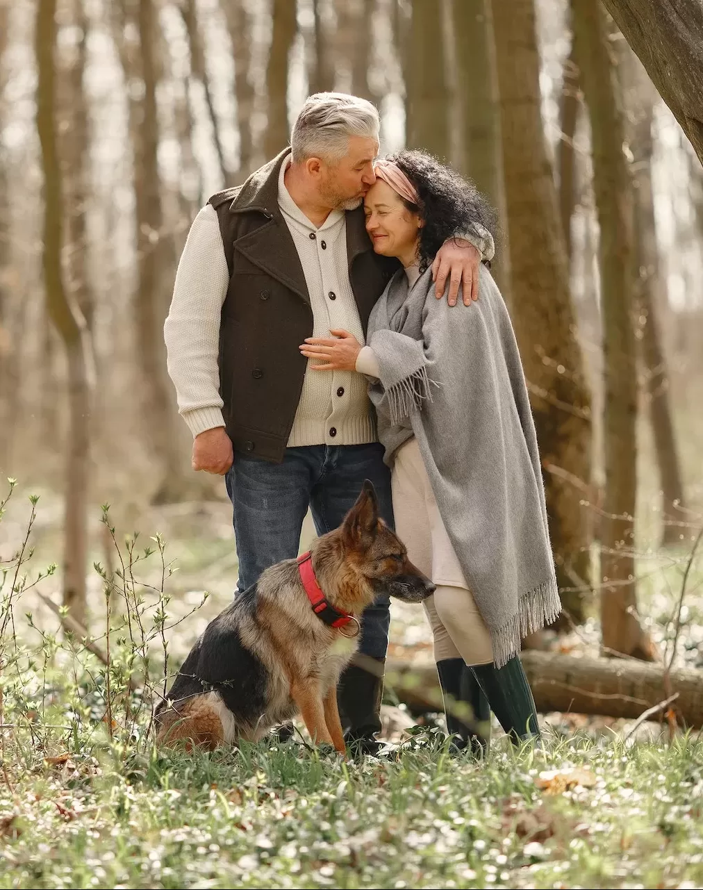 Next Level Dog Training | Crafting Confident Canine Companions