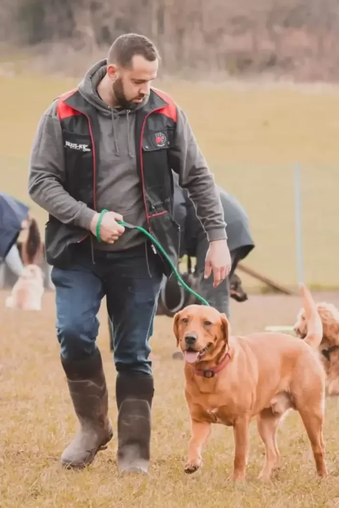 Next Level Dog Training | Trusted Professional Dog Trainers