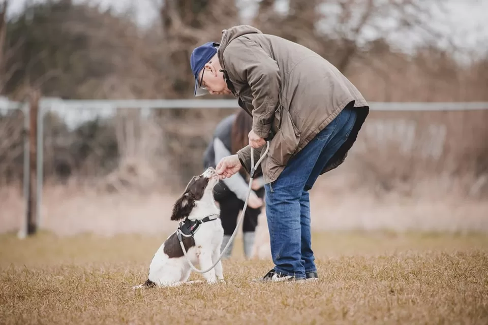 Customer Reviews - Next Level Dog Training