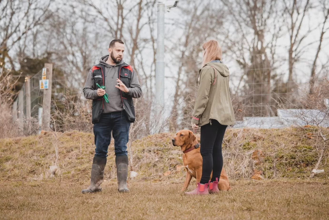 One to One Dog Training: Personalised to Transform Behaviour