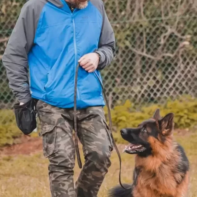 Next Level Dog Training | Crafting Confident Canine Companions