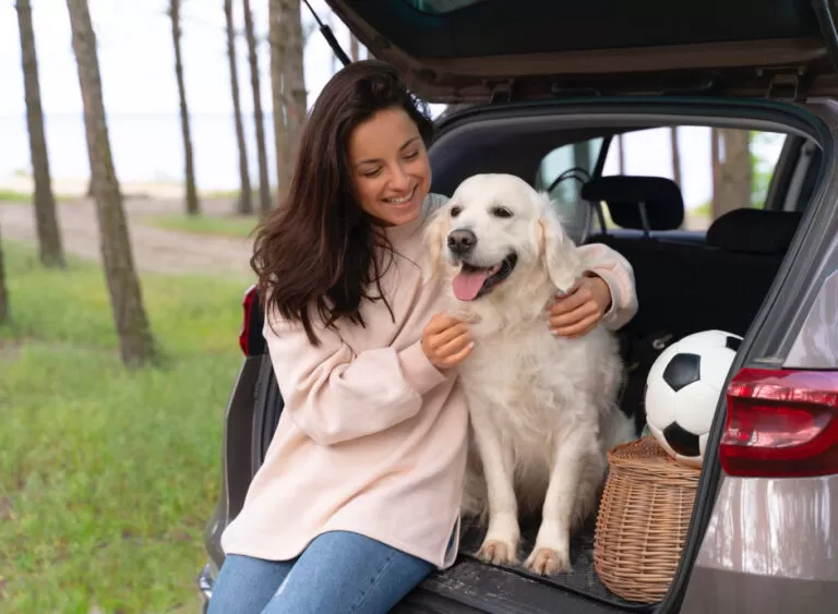 Next Level Dog Training - 14+ Years of Experience