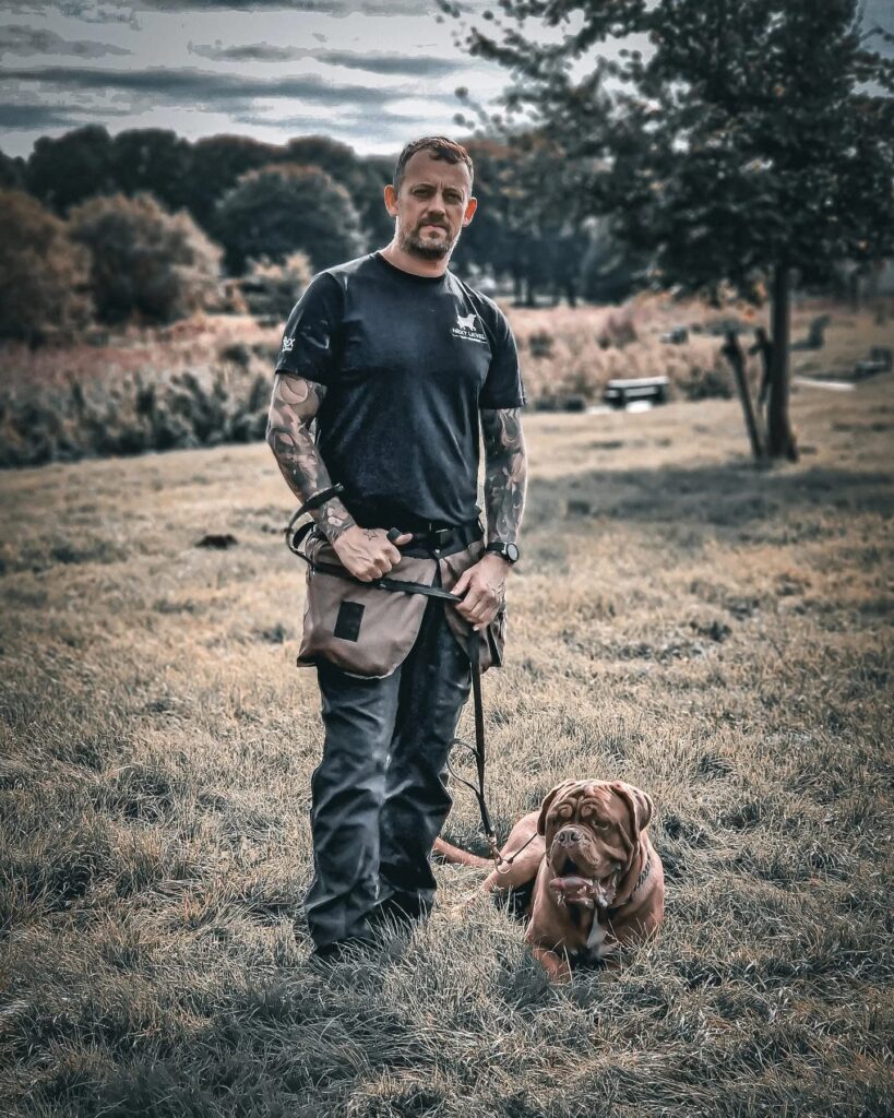 Next Level Dog Training - 14+ Years of Experience