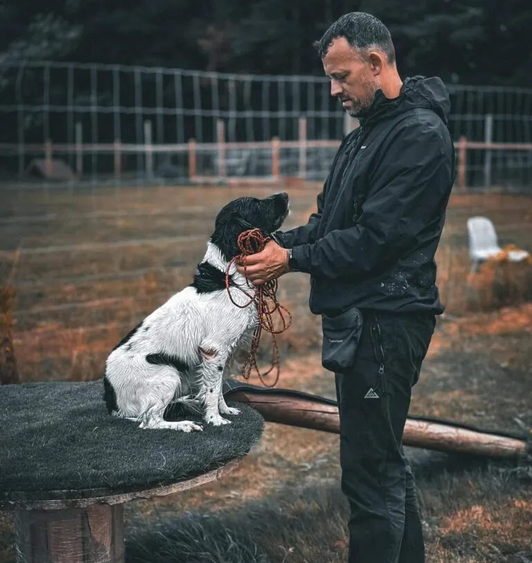 Next Level Dog Training | Trusted Professional Dog Trainers