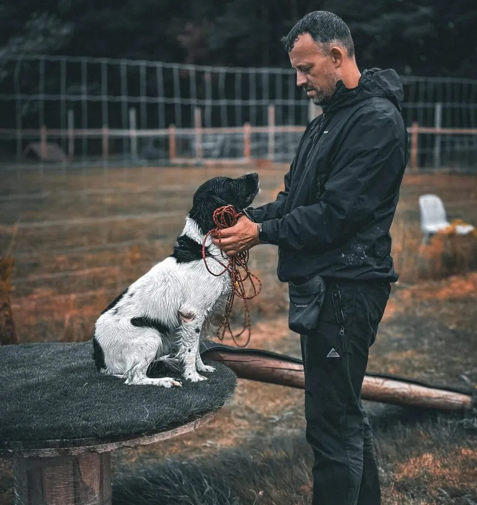 Next Level Dog Training | Trusted Professional Dog Trainers