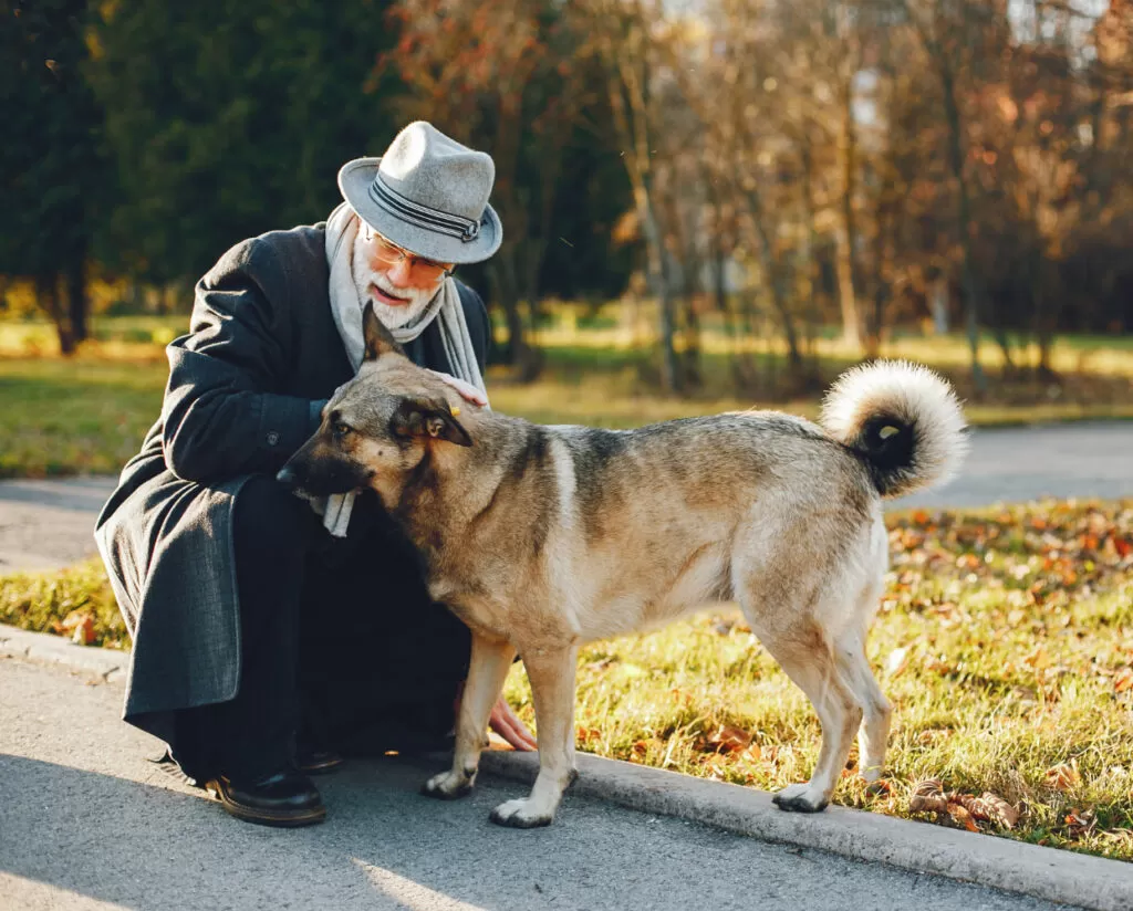 Next Level Dog Training - 14+ Years of Experience